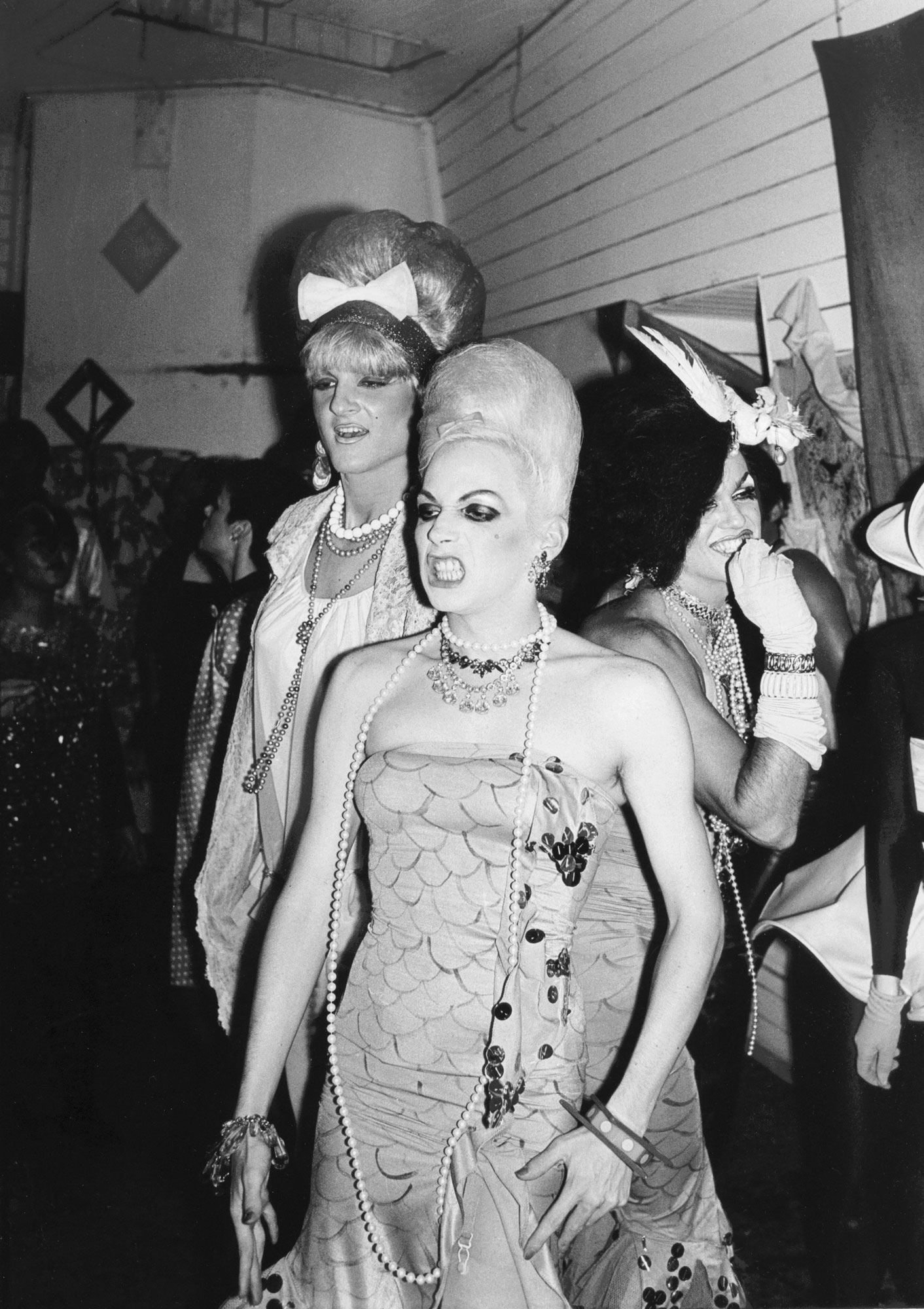 Tippi - Doris Fish Forever